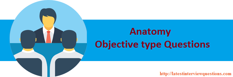 10 Anatomy Interview Questions Latest Anatomy Questions And Answers
